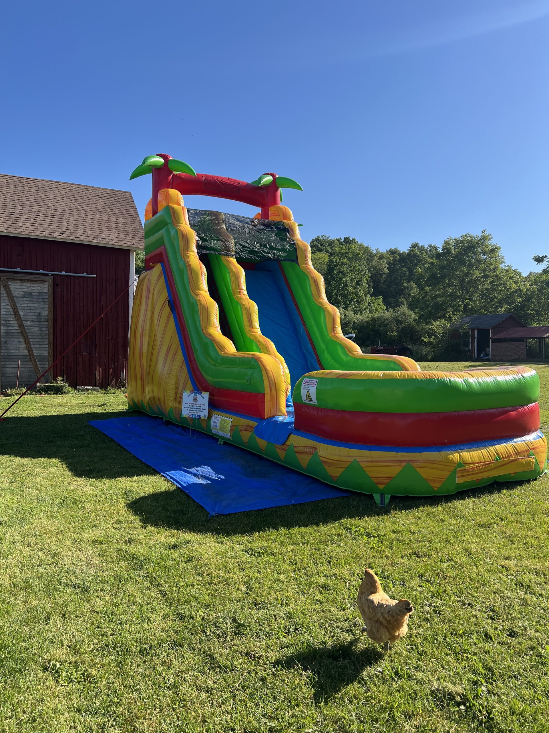 Jump N Fun rentals - Party Rental and Bounce House Rental
